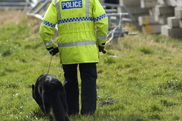 What Gcses Do You Need To Be A Police Dog Handler